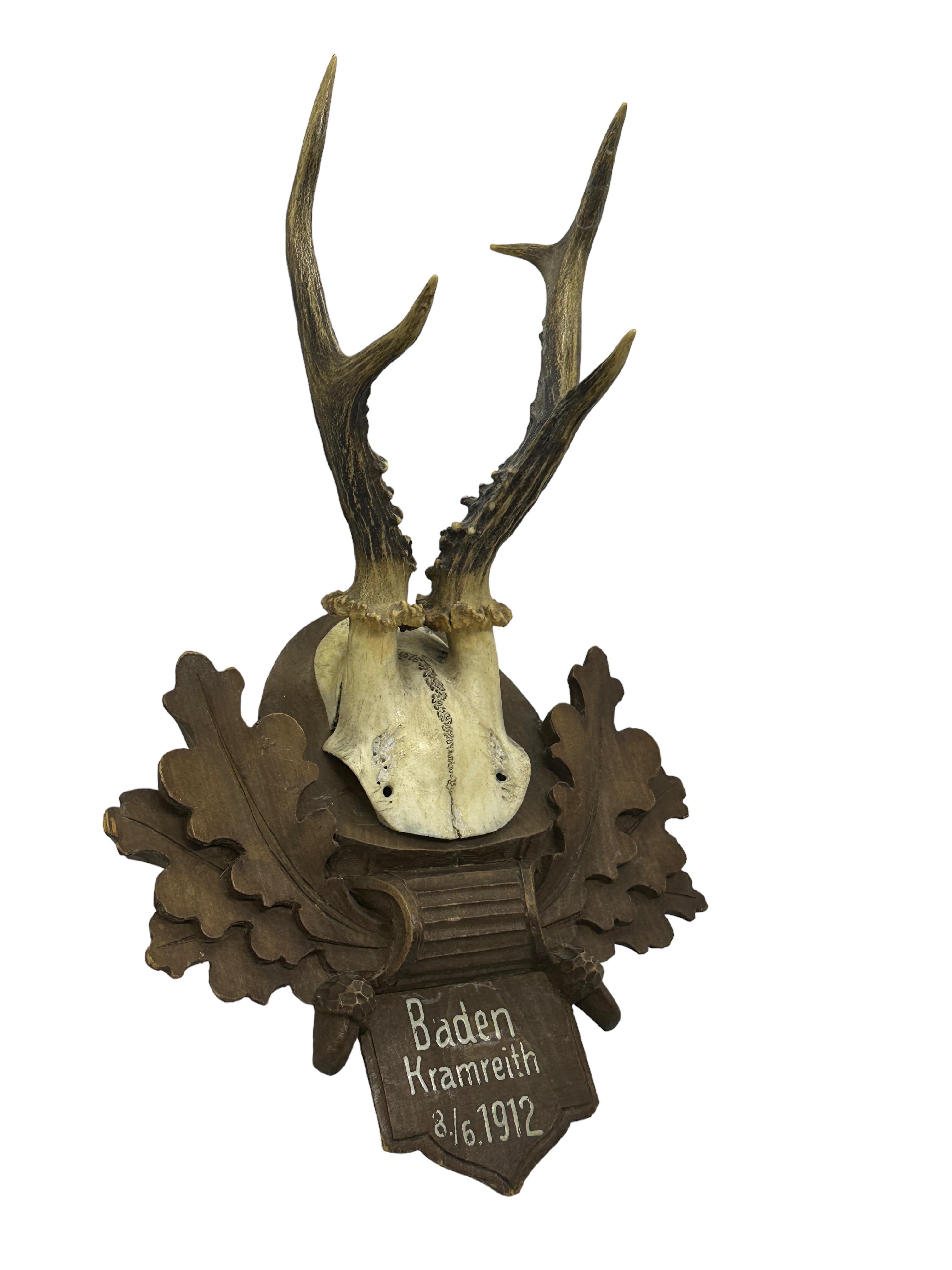 Deer Antler Mount Trophy on Black Forest Carved Wood Plaque Austria ...