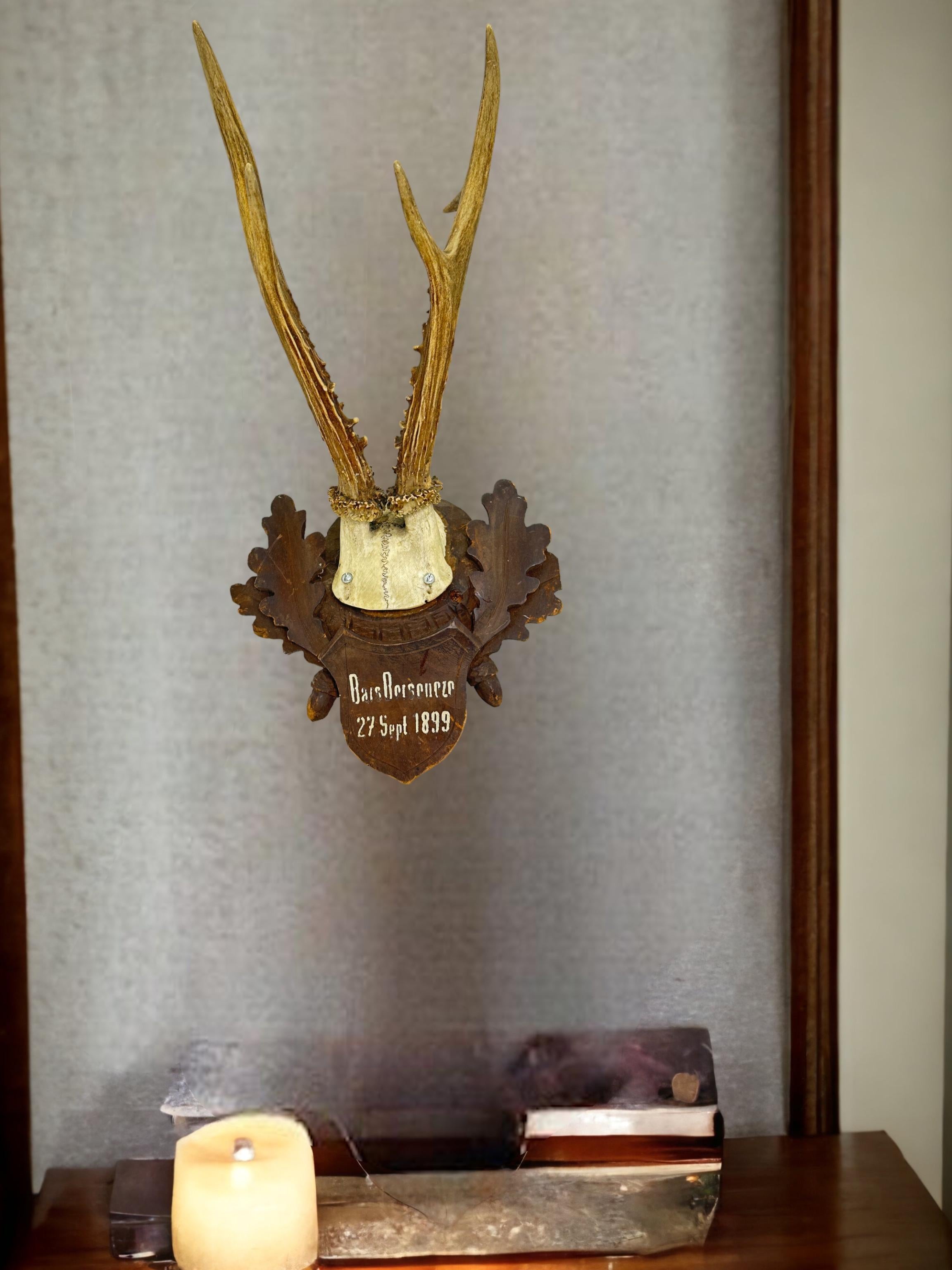 Deer Antler Mount Trophy on Black Forest Carved Wood Plaque German Folk ...