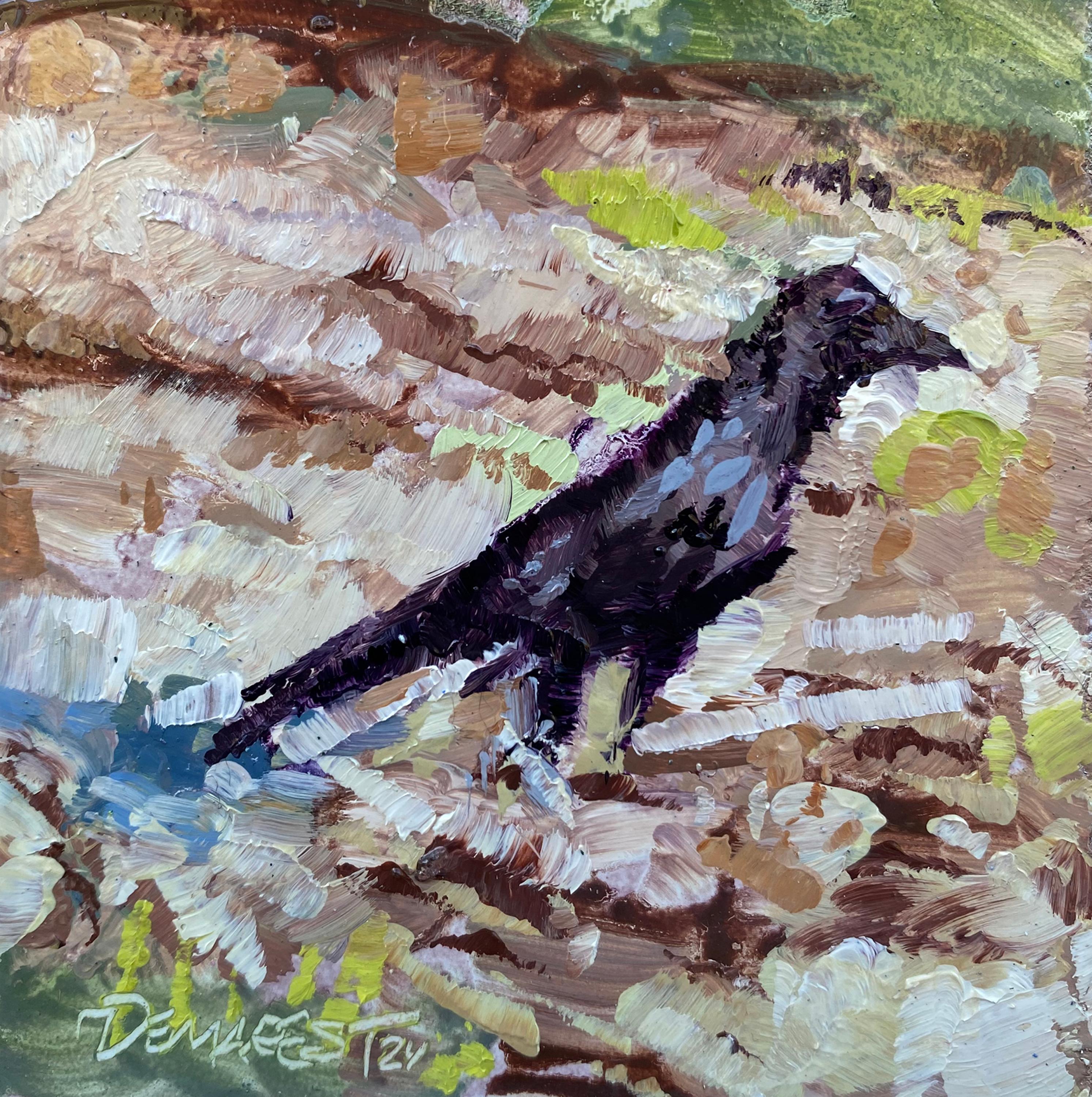 Delton Demarest - "Pipistrello del mulino" (2024) di Delton Demarest ...