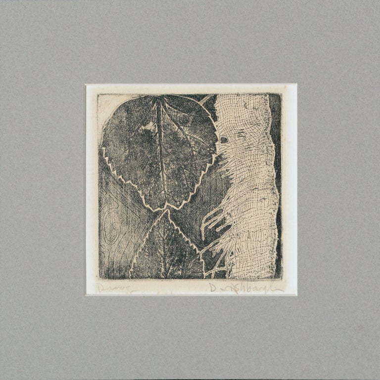 Dennis John Ashbaugh - Leaf - Lithograph (Artist''s Proof) For Sale at ...