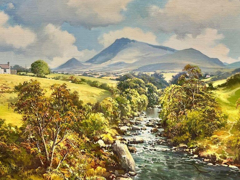 Dennis Thornton - The Mourne Mountains County Down Ireland Large ...