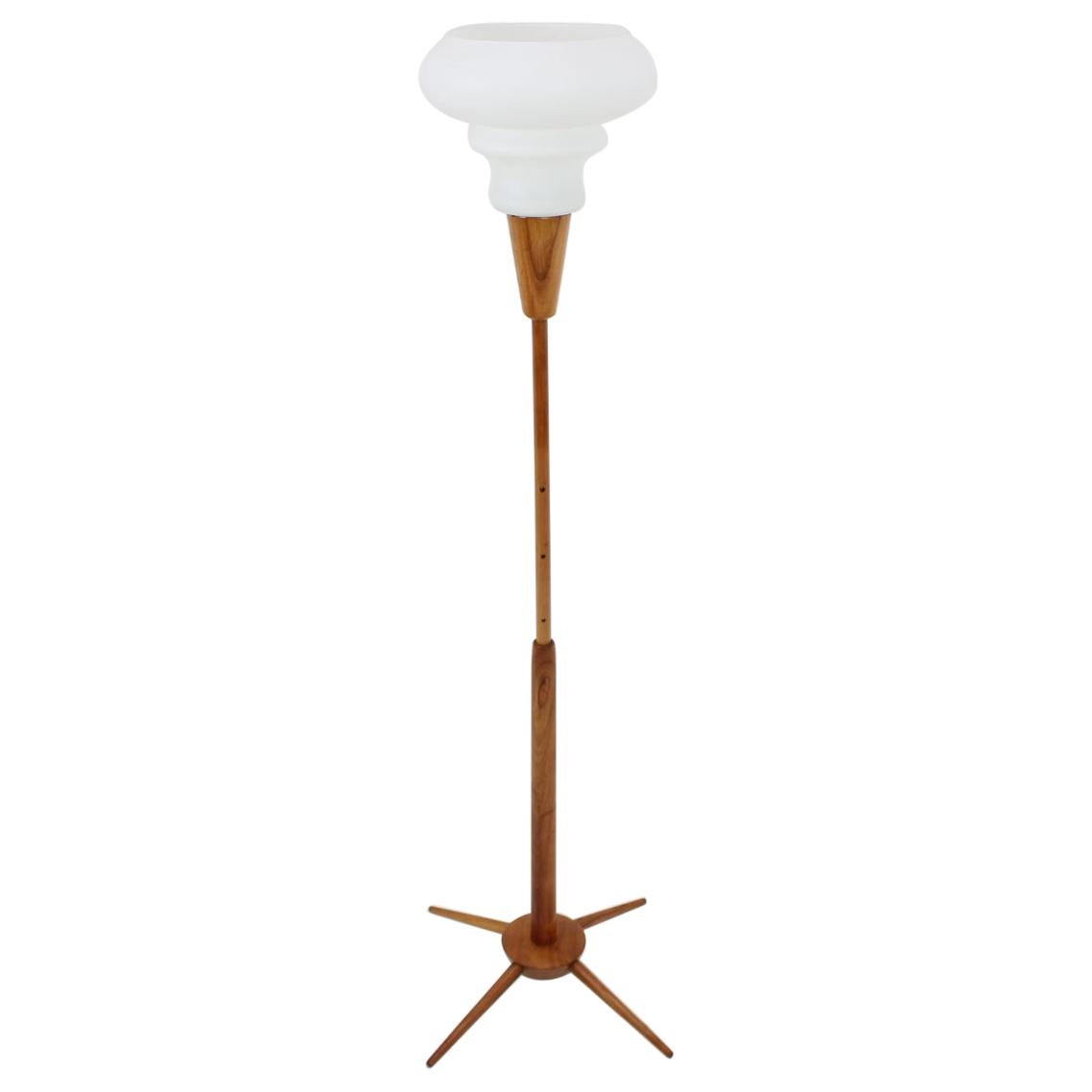 Floor Midcentury Rare Lamp ULUV, 1960s For Sale at 1stDibs