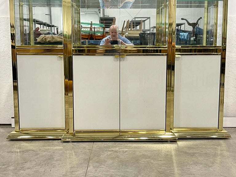 DIA Design Institute America Brass Vitrine Display Case For Sale at 1stDibs