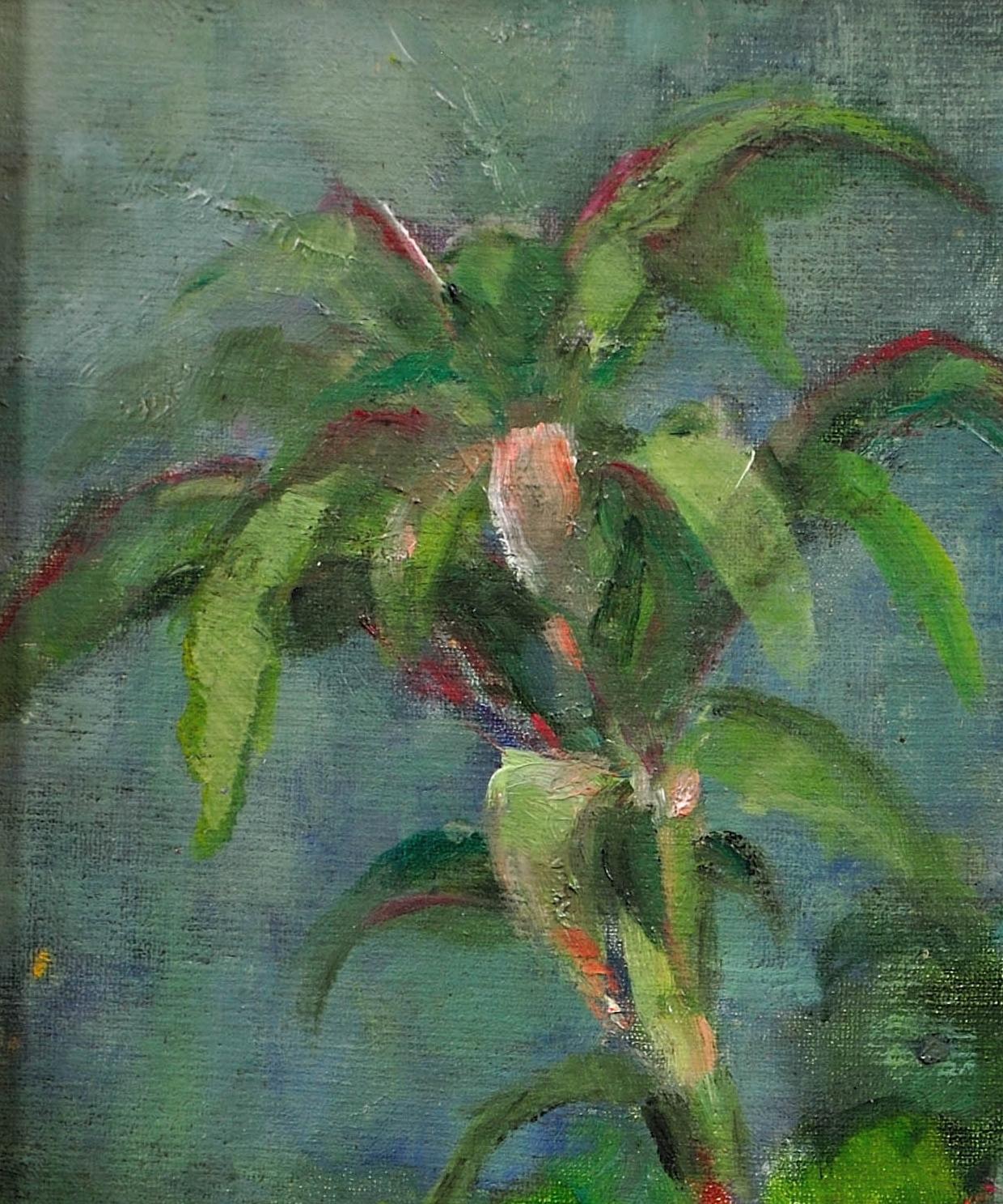 Diana Maxwell Armfield - Pink Primulas and Pot Plants.Original Still ...