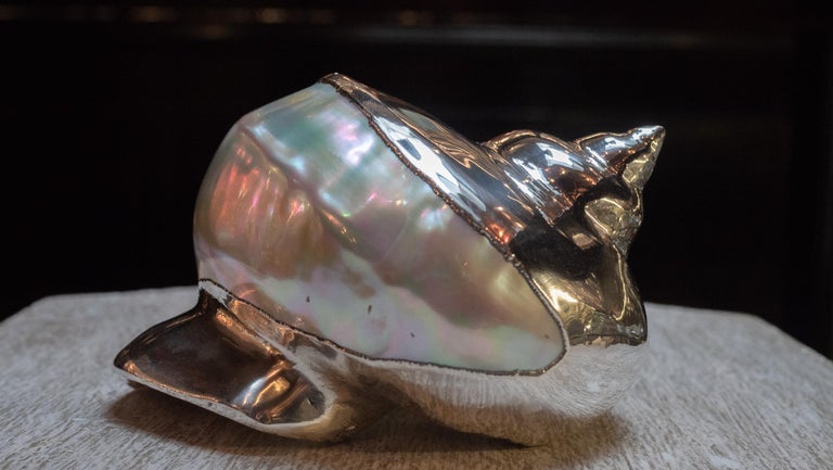 Diana Mother of Pearl Partially Silvered Sea Shell at 1stDibs
