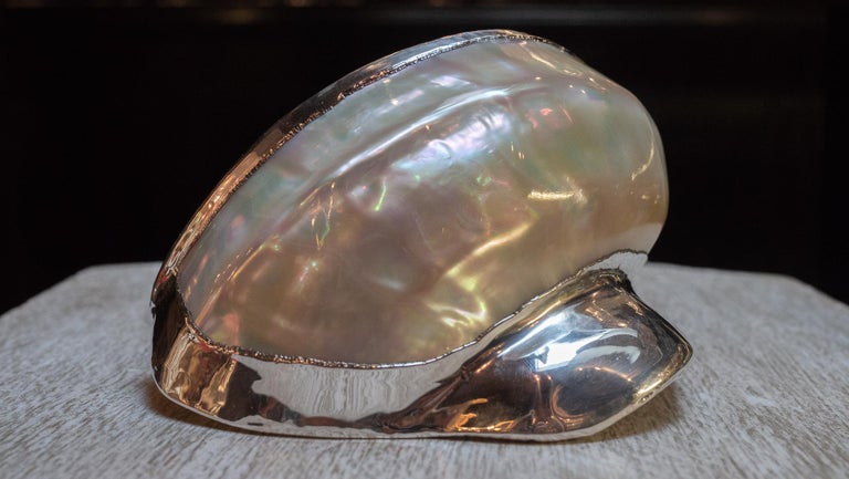 Diana Mother of Pearl Partially Silvered Sea Shell at 1stDibs