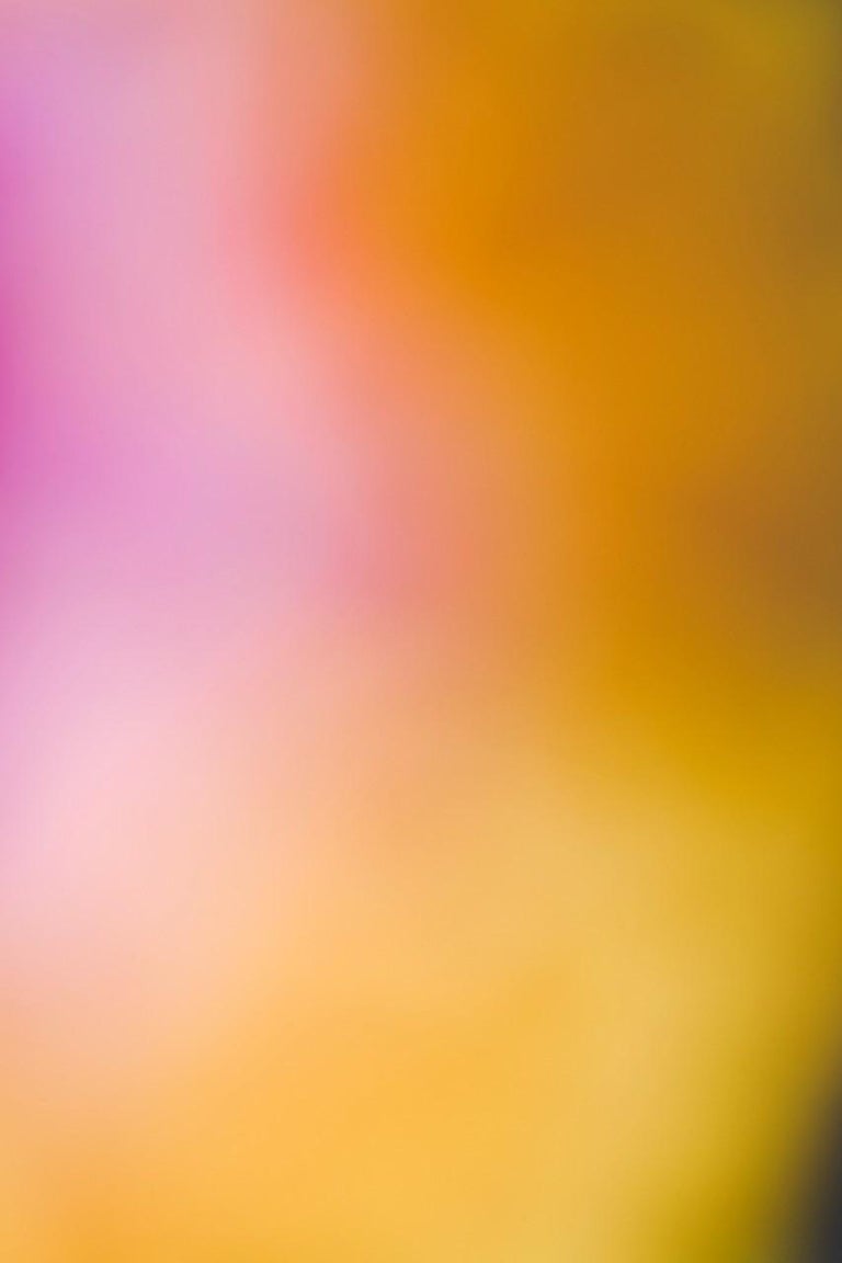 Diane Rosenblum - Damaris For Sale at 1stDibs