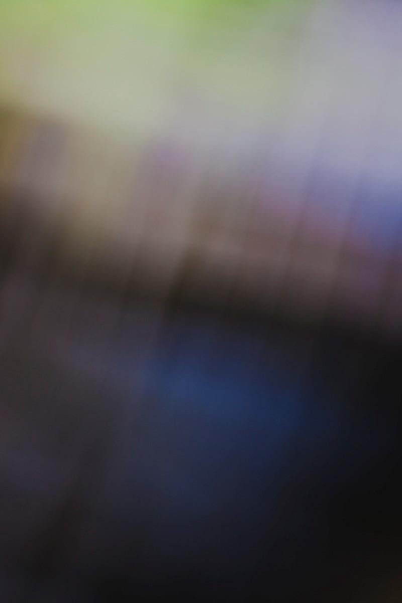 Diane Rosenblum - Beauty For Sale at 1stDibs