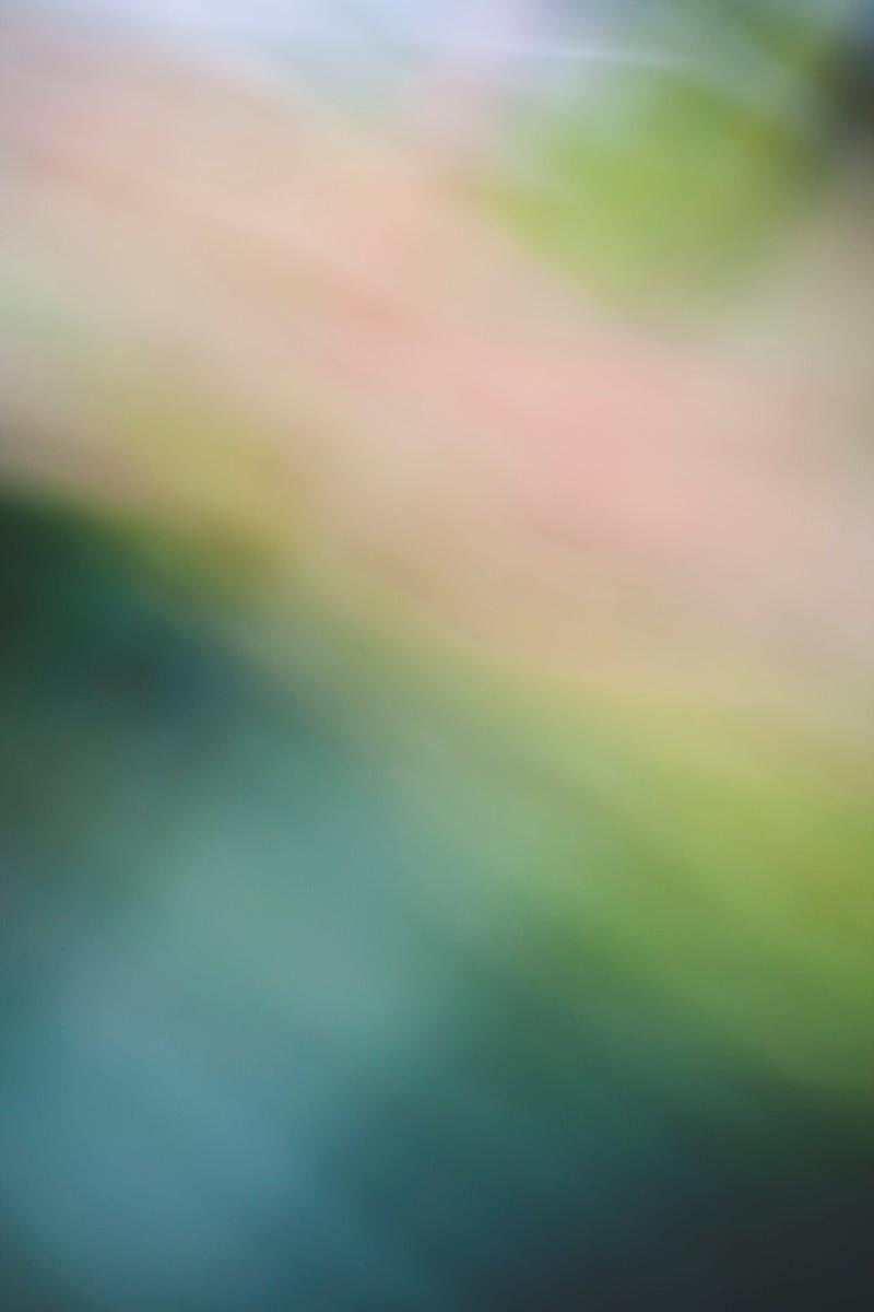 Diane Rosenblum - Beauty For Sale at 1stDibs