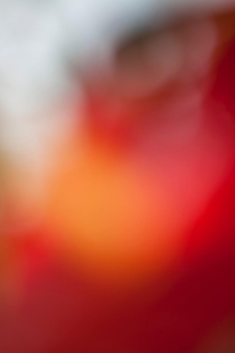 Diane Rosenblum - Luciana For Sale at 1stDibs