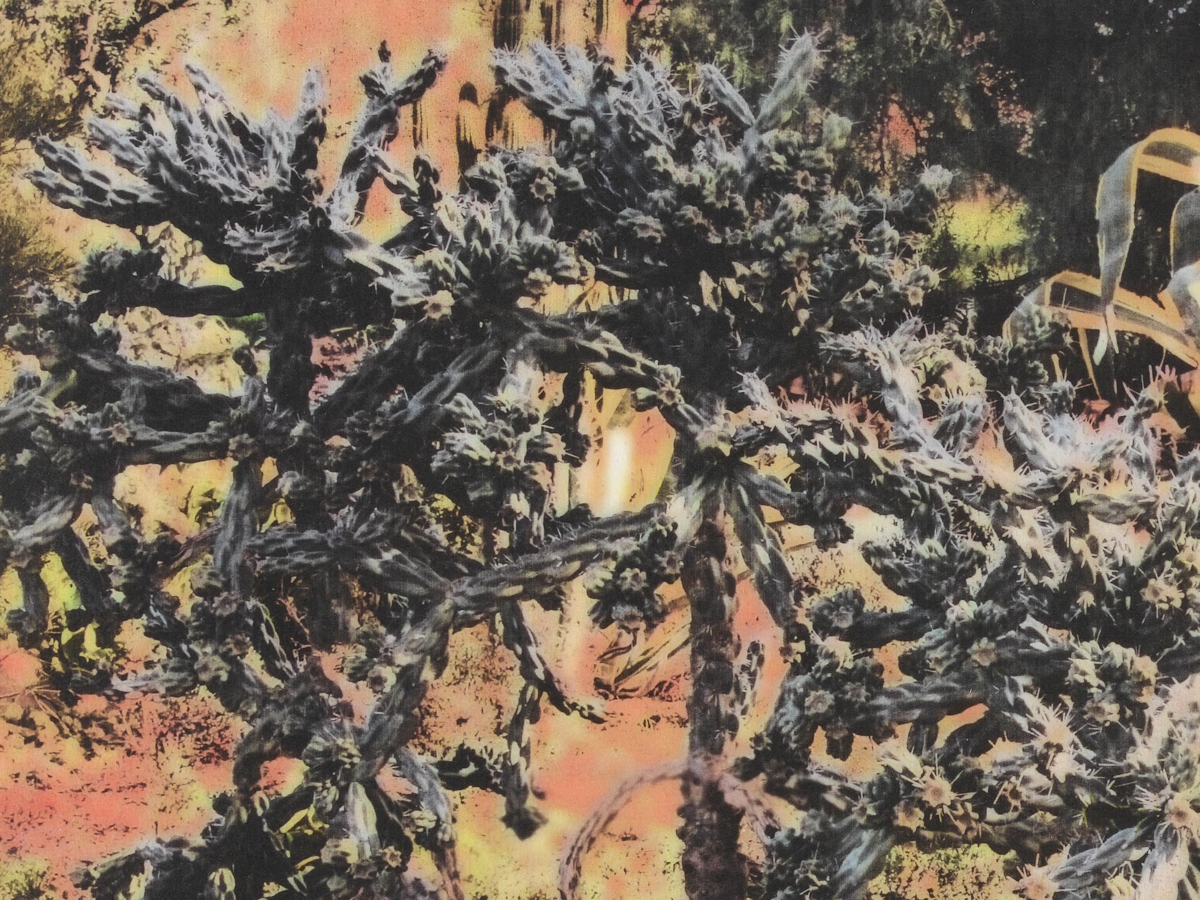 Dianne Longley - Fantastic garden succulent grotto - Terowie, intaglio ...