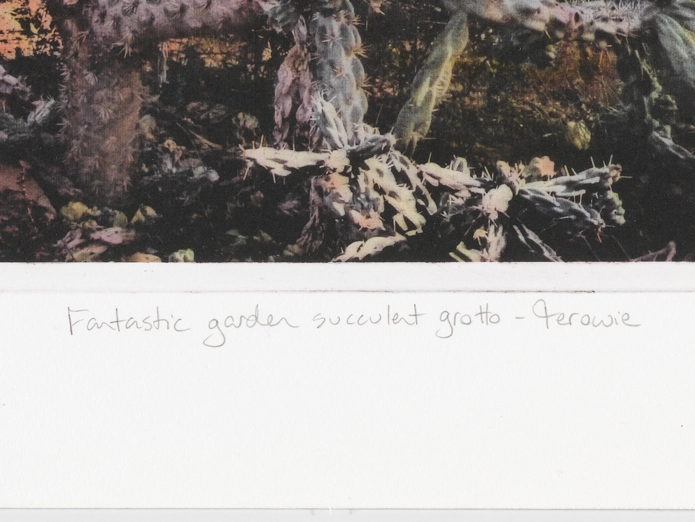 Dianne Longley - Fantastic garden succulent grotto - Terowie, intaglio ...