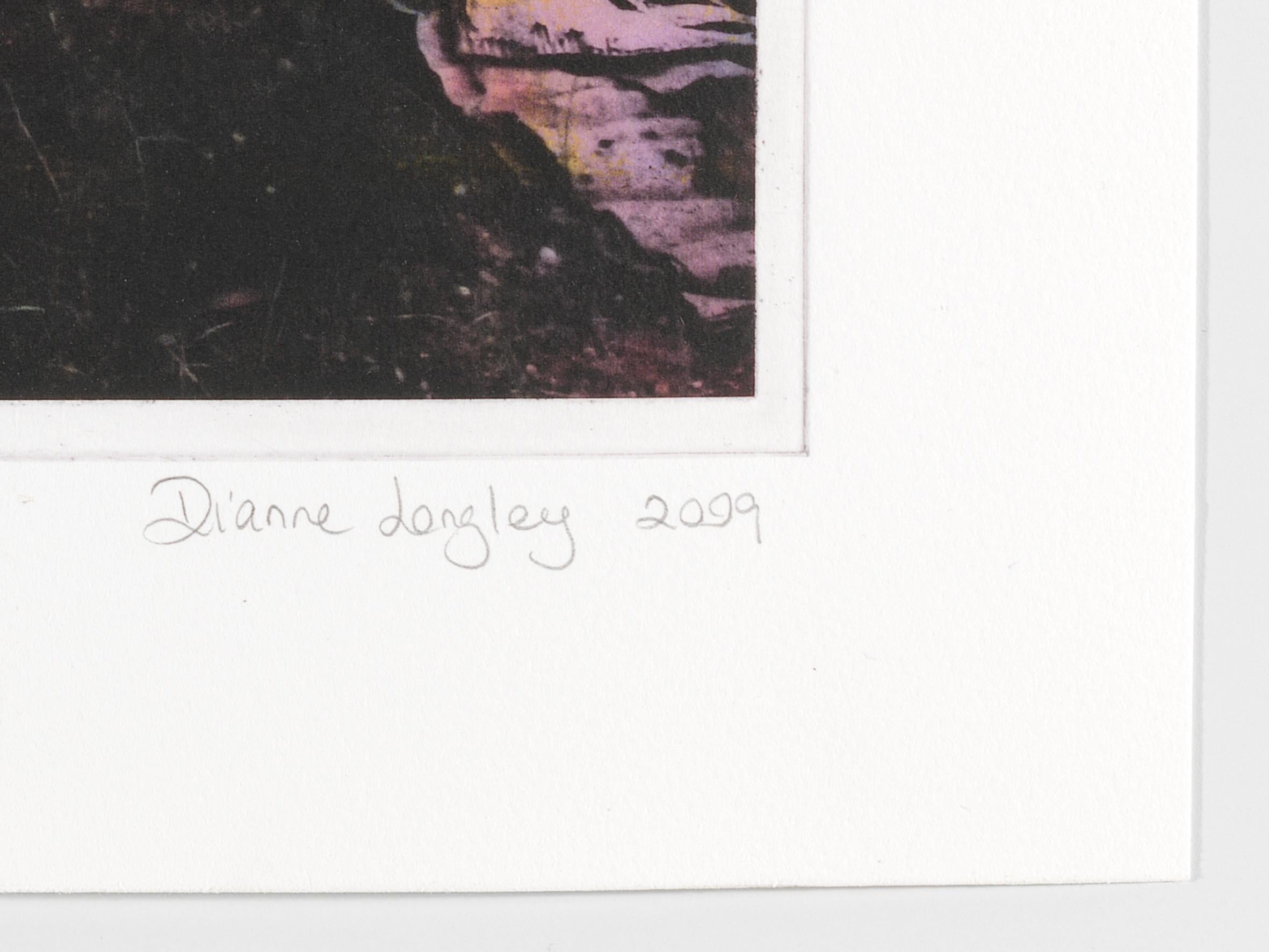 Dianne Longley - Fantastic garden succulent grotto - Terowie, intaglio ...