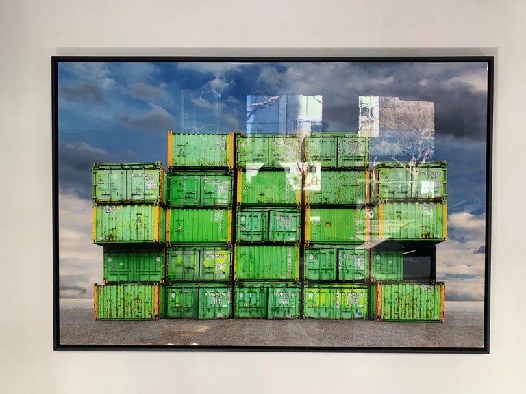 Didier Engels - The Green Symmetry For Sale at 1stDibs