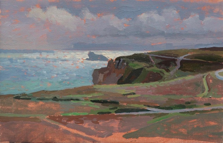 Didier LAPÈNE - Hippopotamus and lion, Brittany, France For Sale at 1stDibs