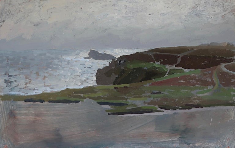 Didier LAPÈNE - Hippopotamus and lion, Brittany, France For Sale at 1stDibs