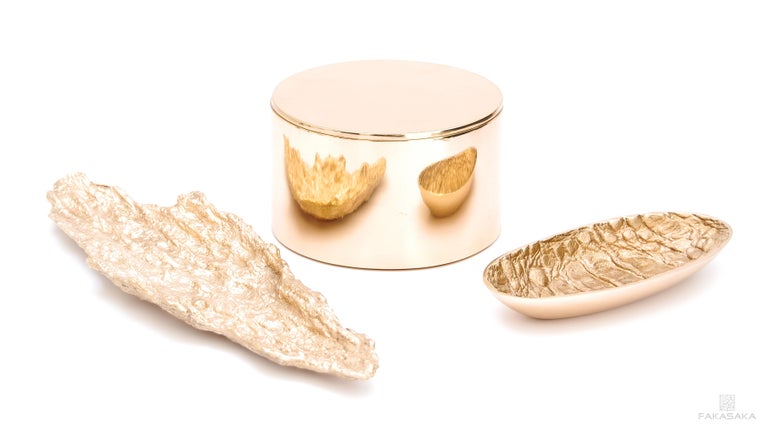 Dido Box by Fakasaka Design For Sale at 1stDibs