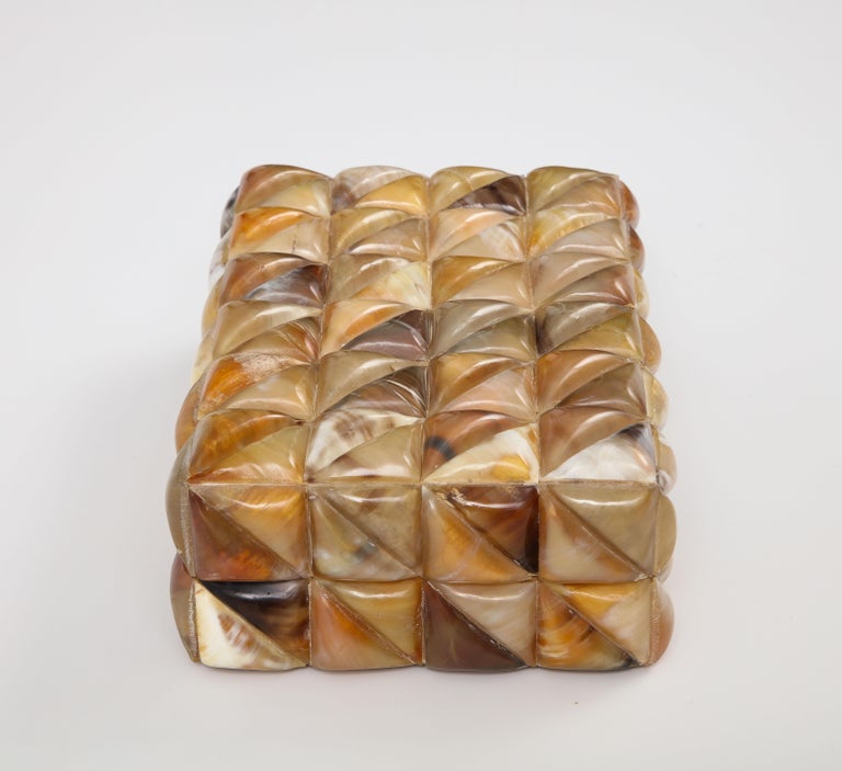 Dimensional Triangle Horn Segement Box, Medium For Sale at 1stDibs