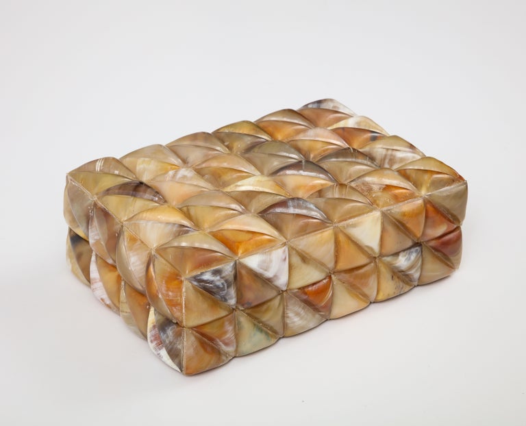 Dimensional Triangle Horn Segement Box, Medium For Sale at 1stDibs