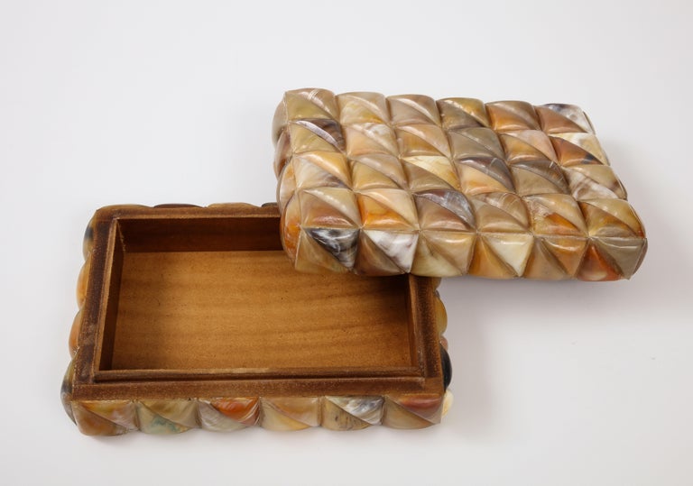 Dimensional Triangle Horn Segement Box, Medium For Sale at 1stDibs