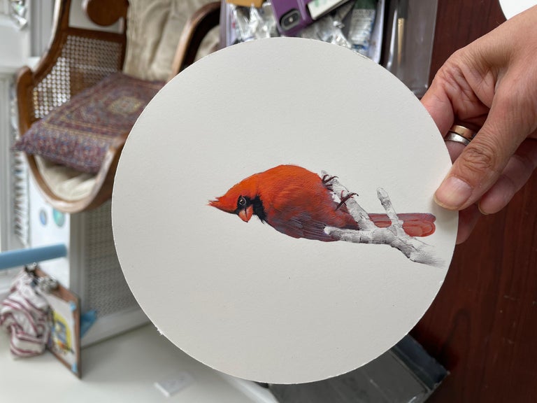Dina Brodsky - Cardinal 1, realist gouache on paper miniature bird ...