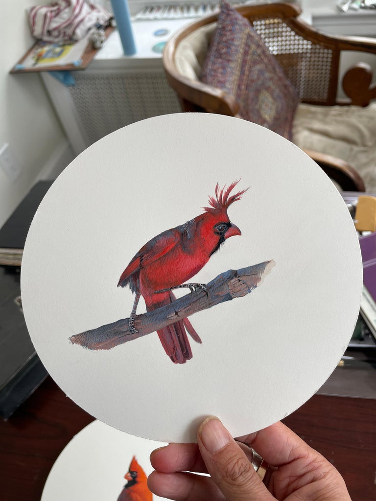 Dina Brodsky - Cardinal 2, realist gouache on paper miniature bird ...