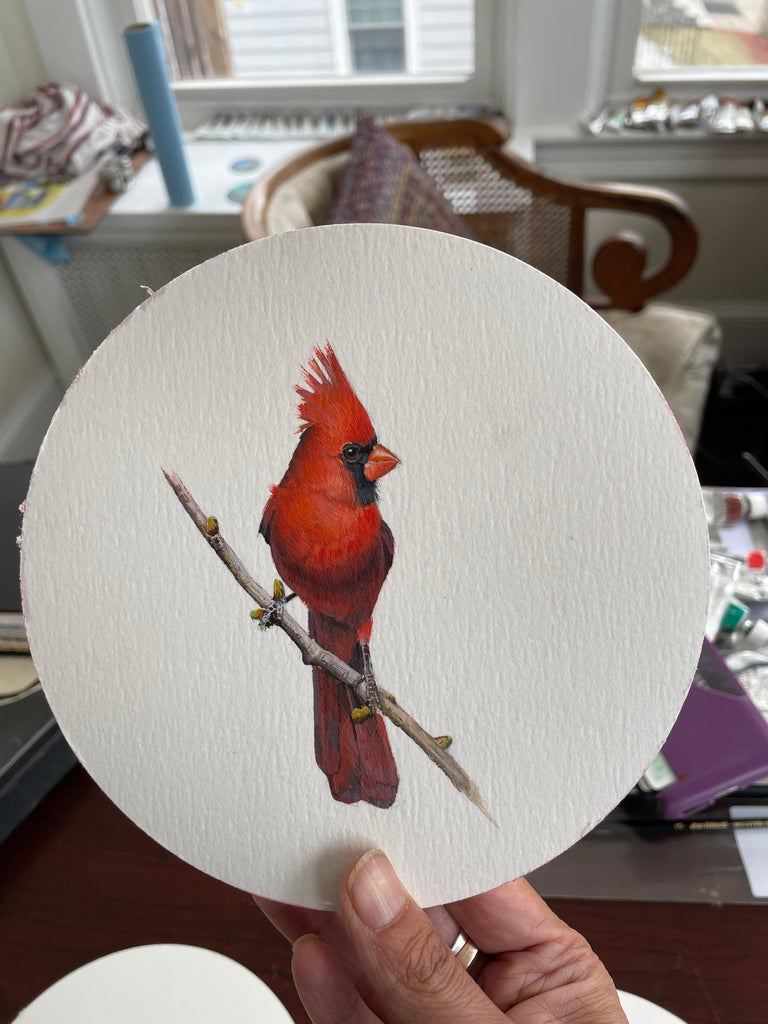 Dina Brodsky - Cardinal 3, realist gouache on paper miniature bird ...