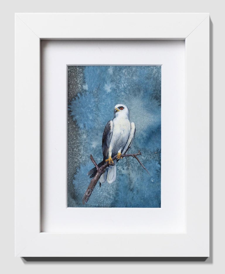 Dina Brodsky - Falcon For Sale at 1stDibs