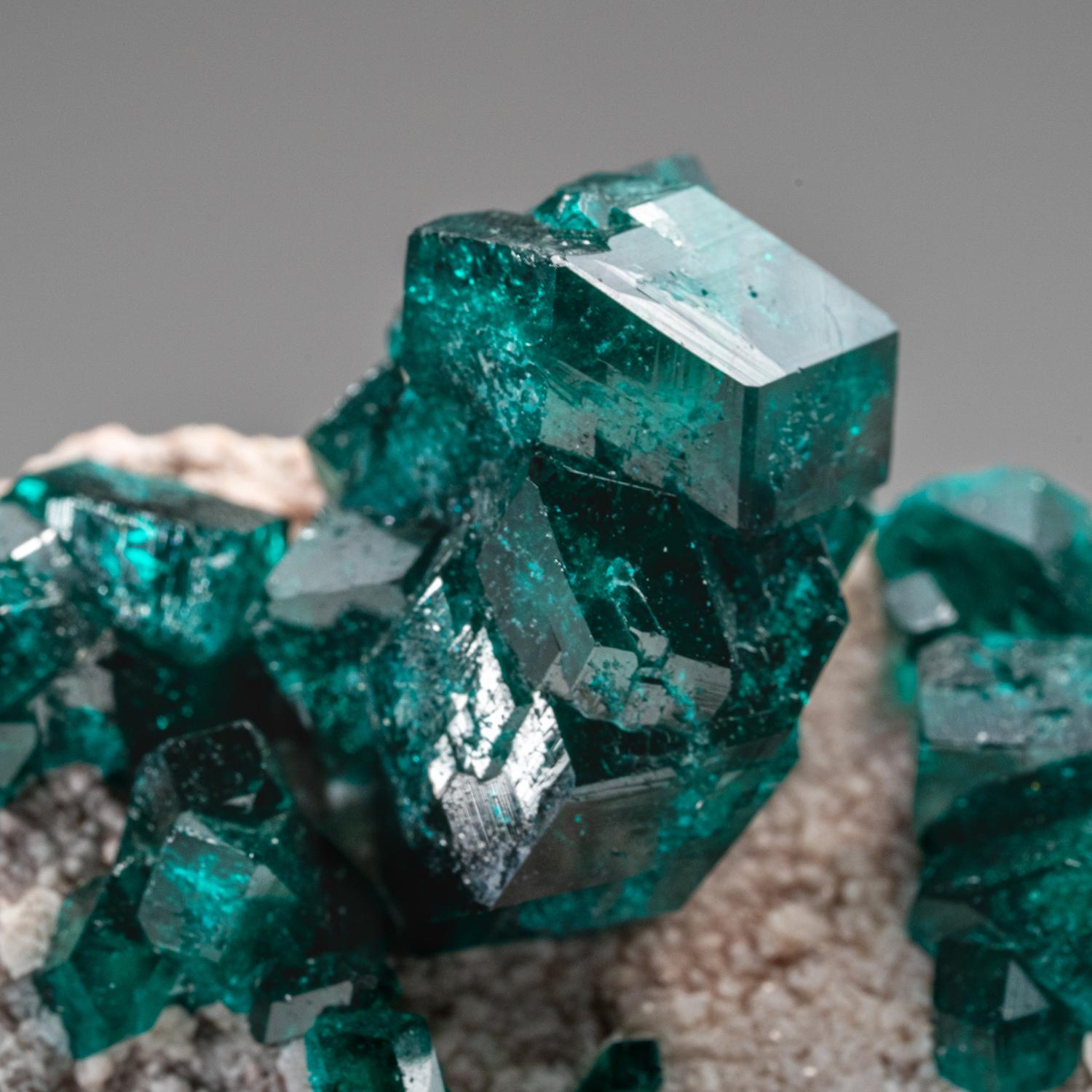 Dioptase from Tsumeb Mine, Otavi-Bergland District, Oshikoto, Namibia For Sale at 1stDibs