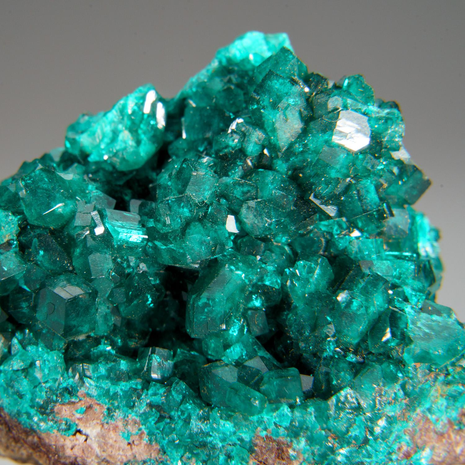 Dioptase from Tsumeb Mine, Otavi-Bergland District, Oshikoto, Namibia For Sale at 1stDibs