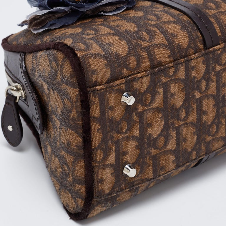 Dior Brown Oblique Coated Canvas, Velvet and Leather Trotter Romantique ...