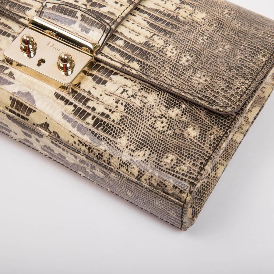 Dior Clutch in Water Snake Skin at 1stDibs | snake dior, water snake ...