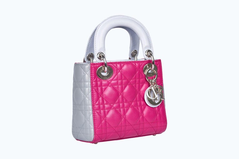 Dior Lady Dior Mini Tricolor For Sale at 1stDibs