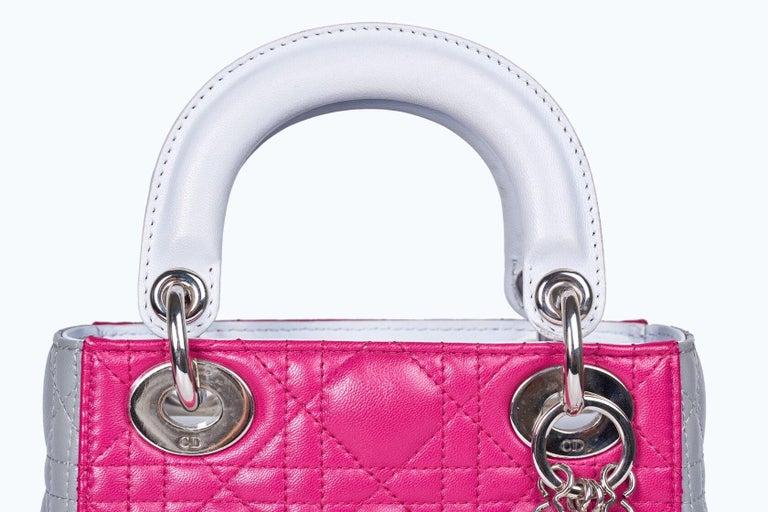 Dior Lady Dior Mini Tricolor For Sale at 1stDibs