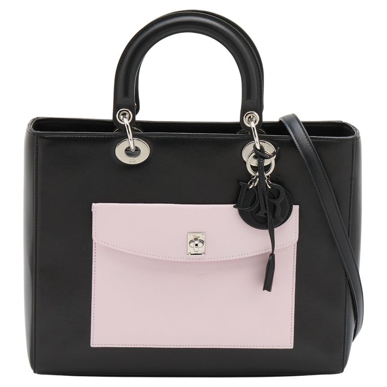 Dior Multicolor Leather Large Lady Dior Pocket Tote For Sale at 1stDibs
