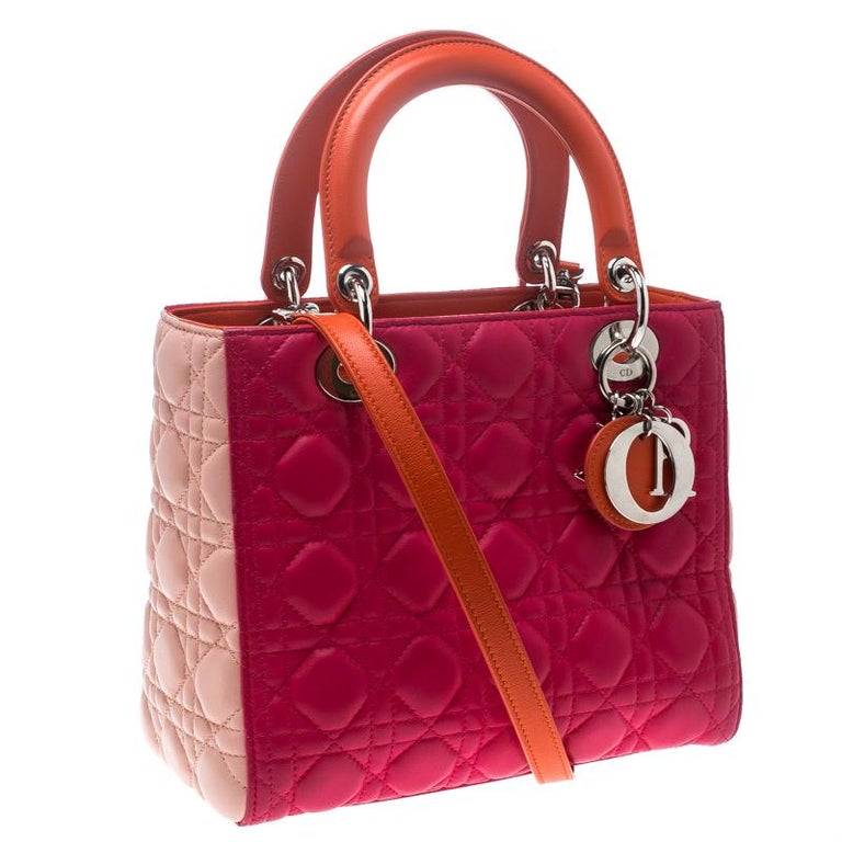 Dior Multicolor Leather Medium Lady Dior Tote For Sale at 1stDibs