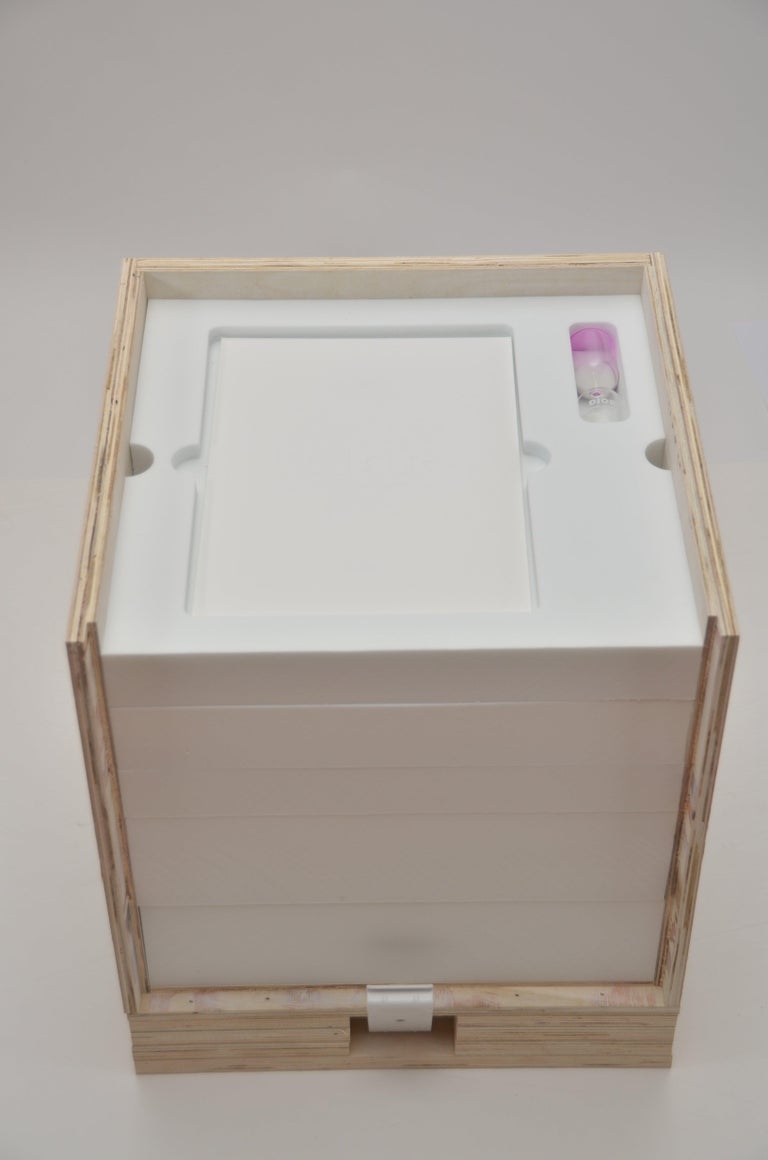 DIOR X DANIEL ARSHAM FUTURE RELIC Limited Edition Eroded Clock XX/100 ...