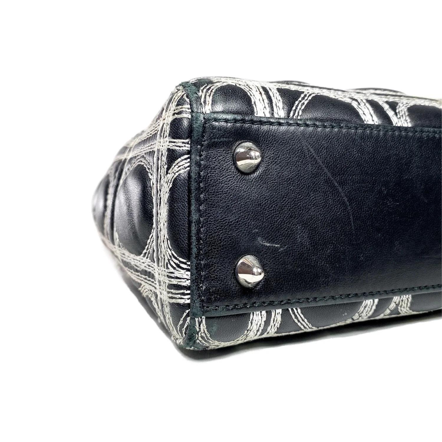 Dior x Daniel Gordon Lady Dior Art Bag For Sale at 1stDibs