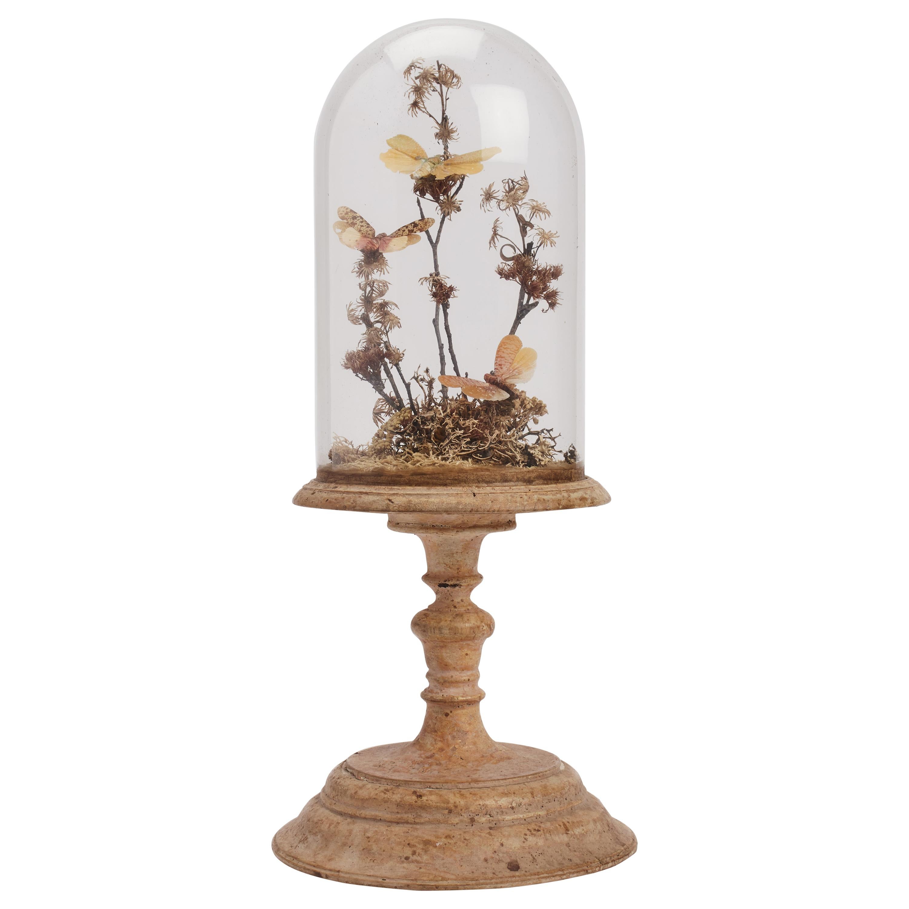 Diorama with Butterflies and Flowers, Italy, 1870 at 1stDibs