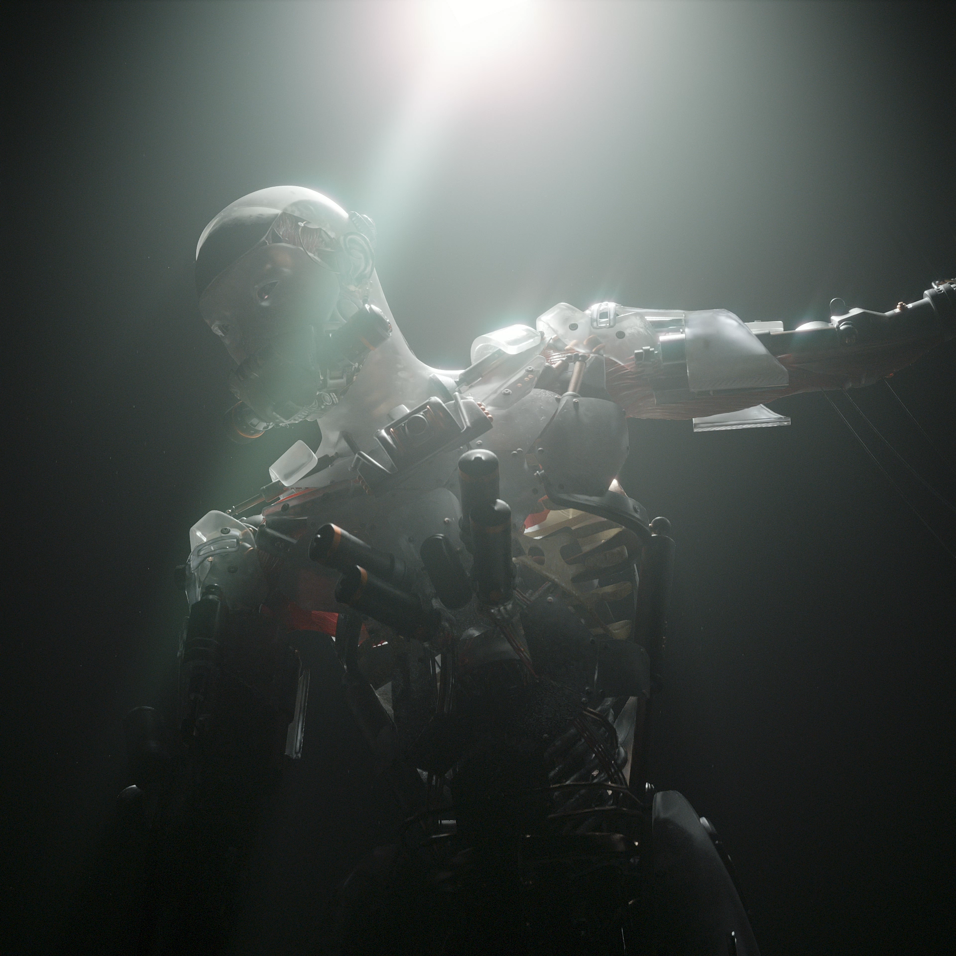 Schematic Motif: Full Body by Connor Campbell | NFT Art | 1stDibs