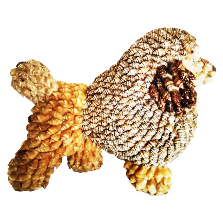 Shells and Seashells Dog Hand Made , 20th Century, Spain For Sale at ...