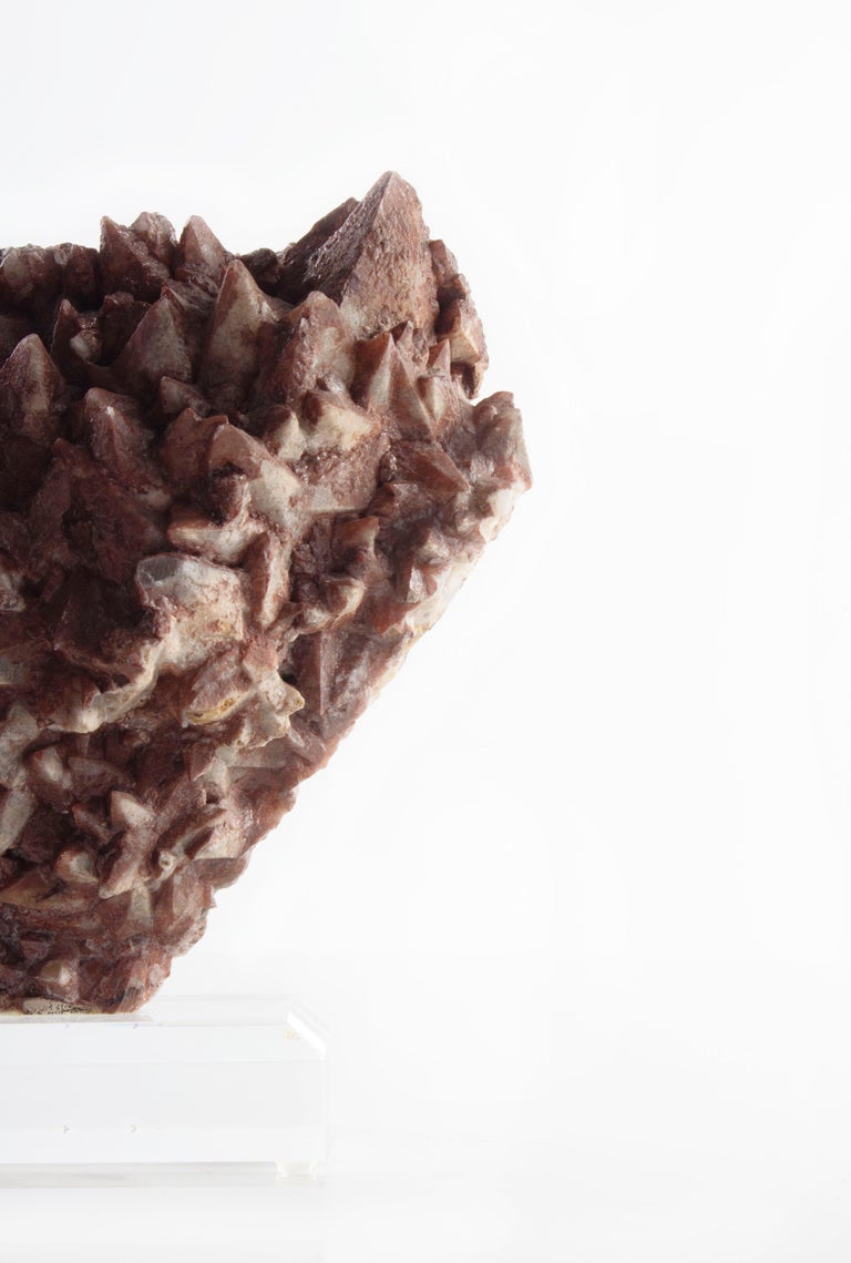 Dogtooth Calcite on Museum Mount For Sale at 1stDibs | calcite dogtooth