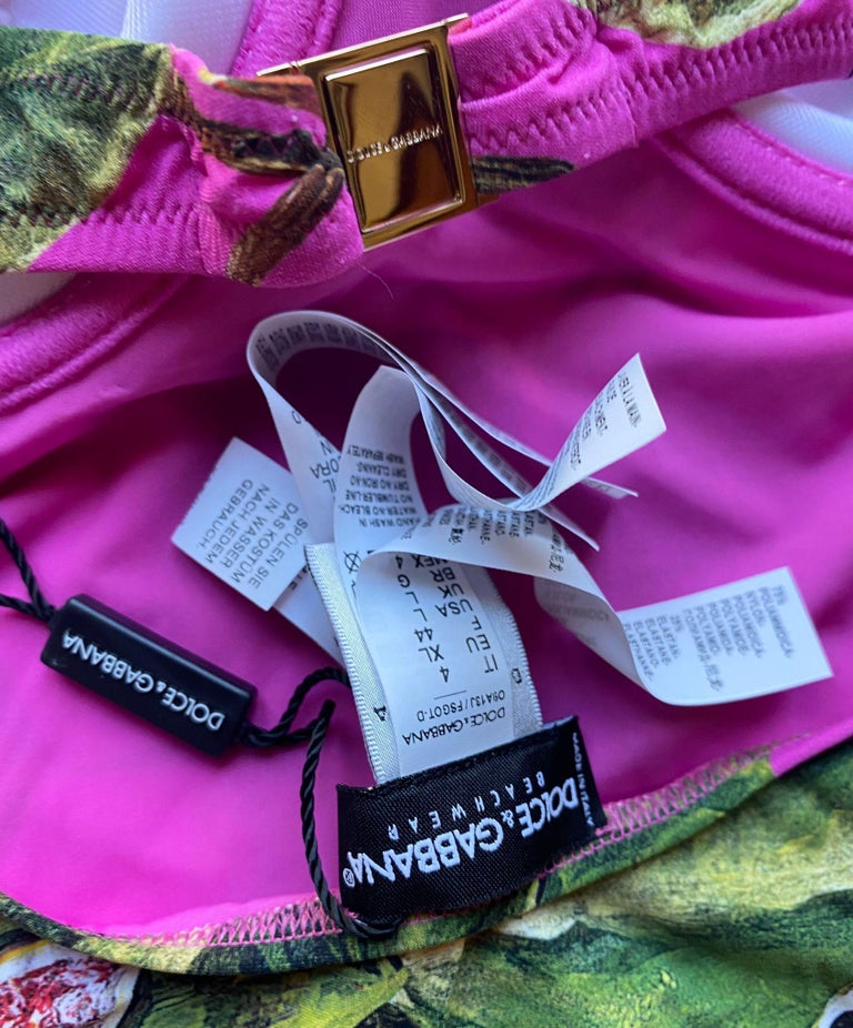 Dolce and Gabbana Multicolor Pink Figs Romantic Full Swimsuit Swimwear ...