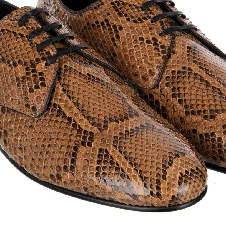 Dolce and Gabbana - Snake Derby Shoes YOUNG POPE Brown 44 UK 10 US 11 ...