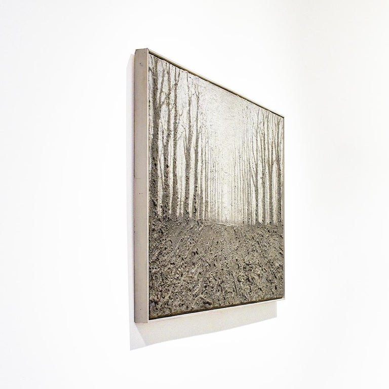 Don Bracken - On the Edge: Black and White Abstracted Forest Landscape ...