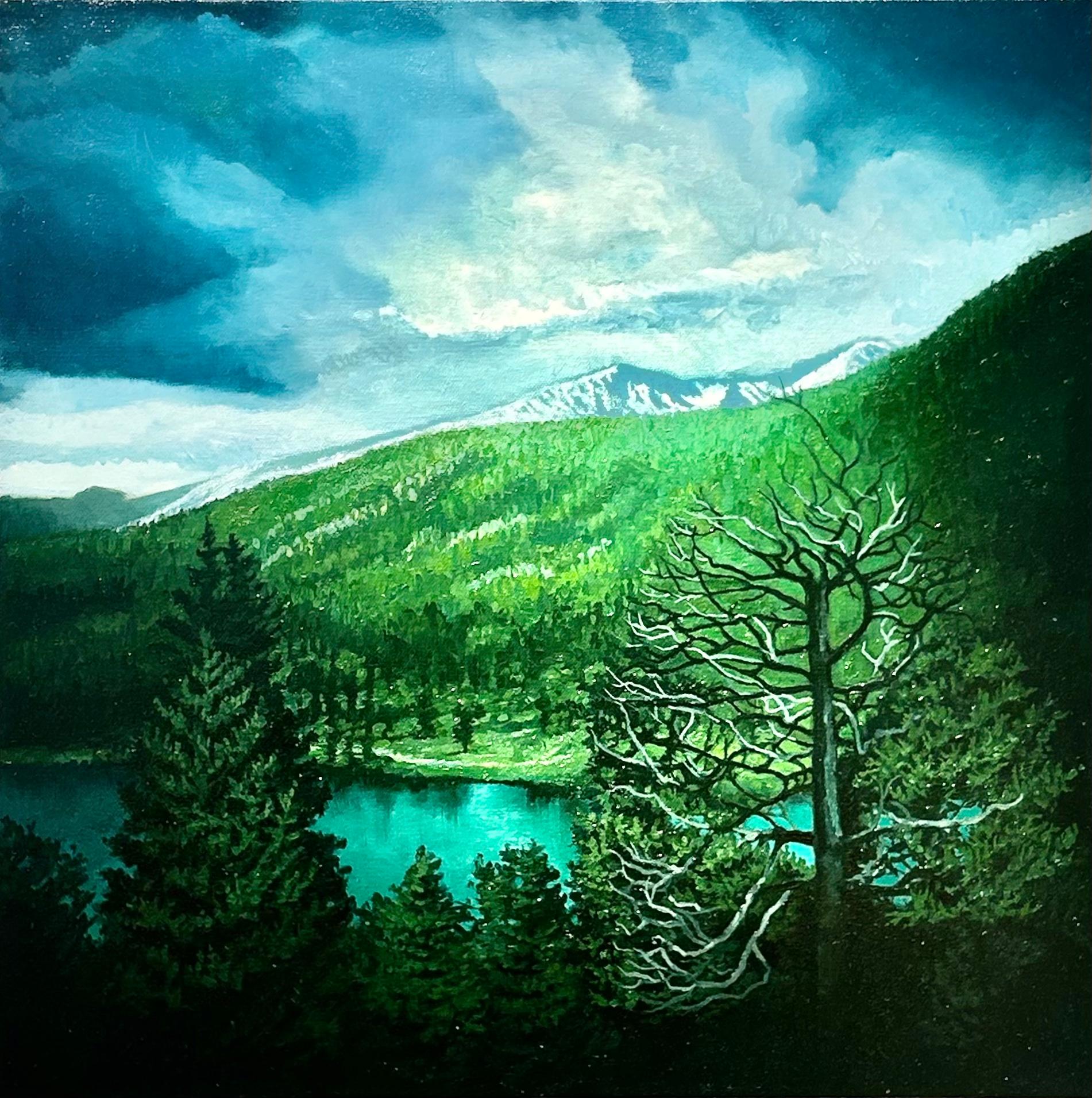 Don Pollack - Lily Mountain, Rocky Mountain National Park, Original Oil on Canvas, Framed For ...