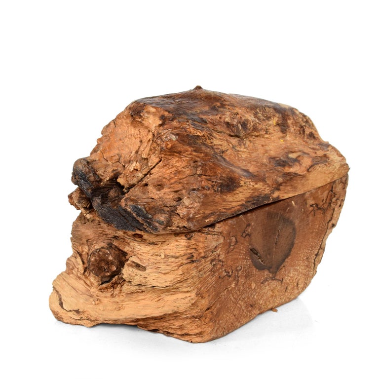 Don Shoemaker Organic Modern Handsome Exotic Wood Stash Box Carved ...