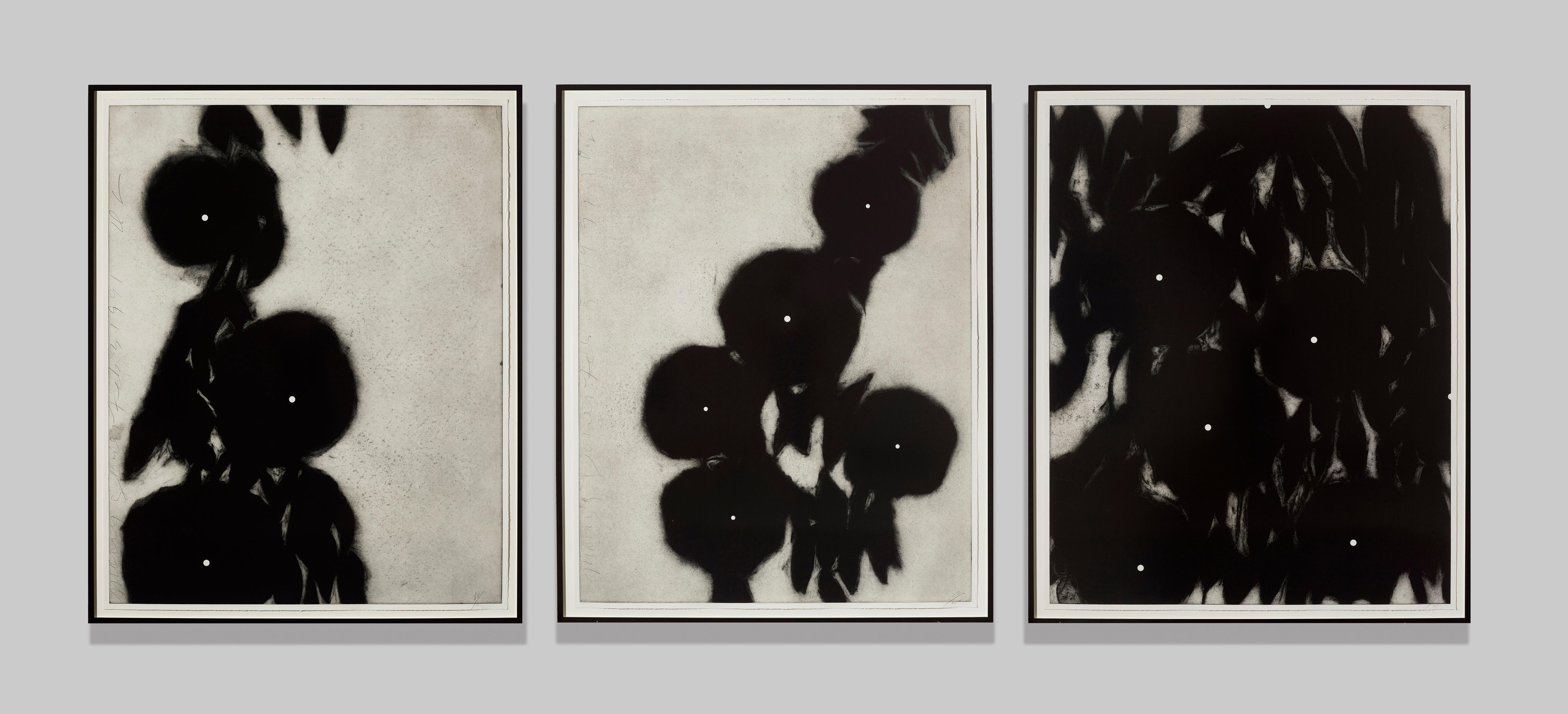 Donald Sultan - Morning Glories (Triptych) at 1stDibs | chumbus meaning ...