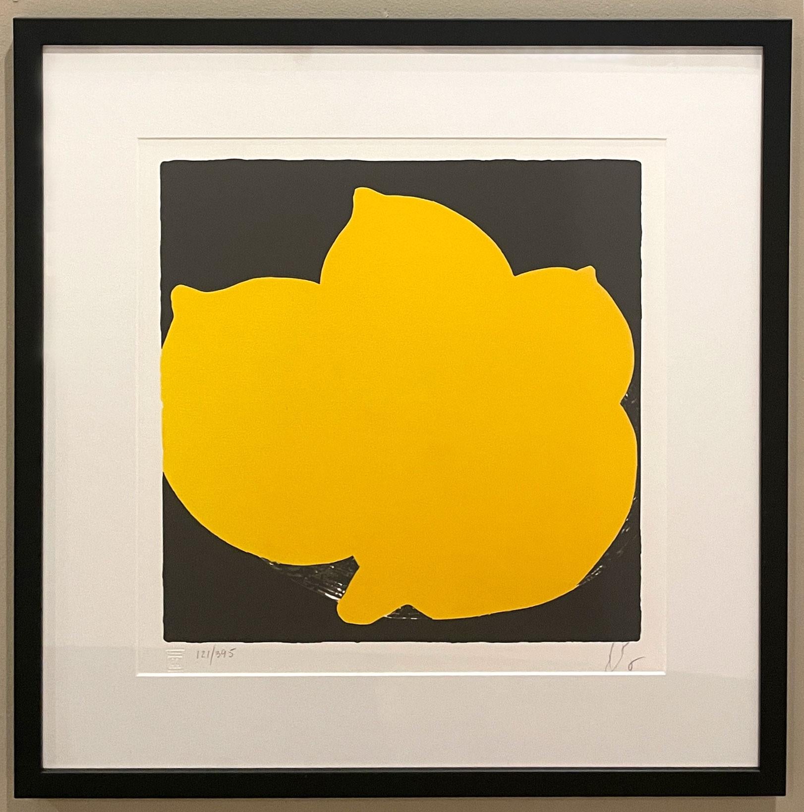 Donald Sultan - Green Apples and Egg at 1stDibs