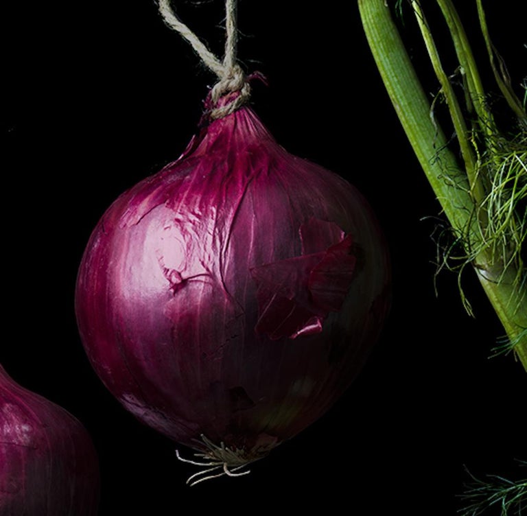 Dora Franco - Cebollas con alcachofas. From The Bodegones still life ...